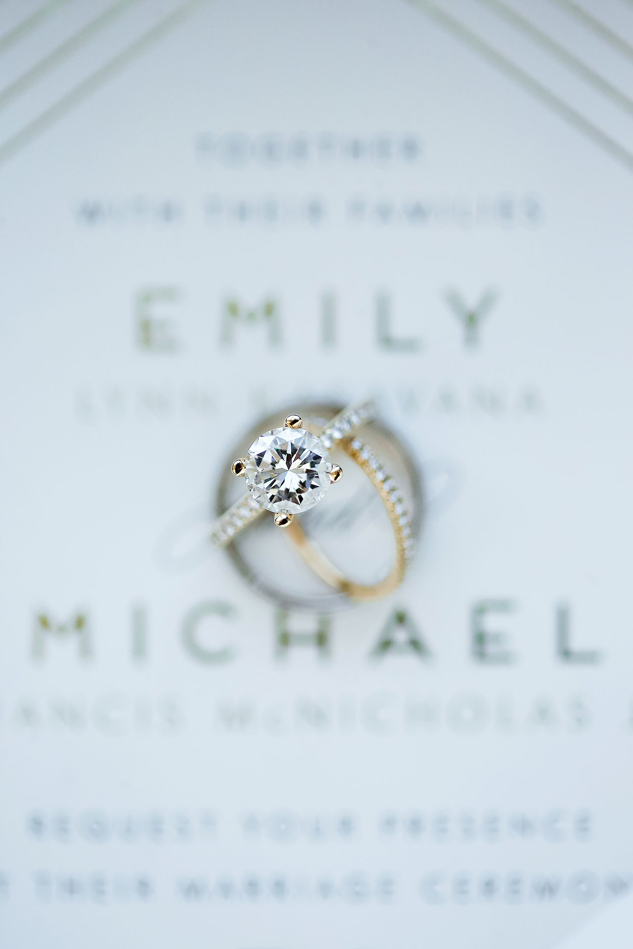 EMILY + MICHAEL - Jessica Strickland, International Fine Art and ...